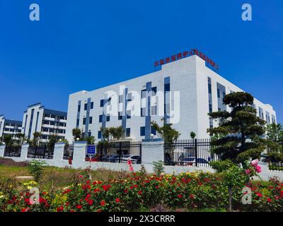 HEFEI, CHINA - APRIL 26, 2024 - View of BYD's new energy vehicle ...