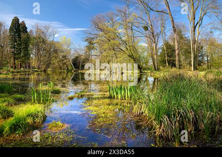 Castle park of Paffendorf Castle, Germany, North Rhine-Westphalia ...