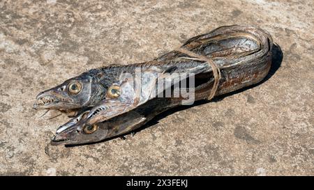 asian ribbon fish or hairtail on rugh background. Dried sea fish from ...