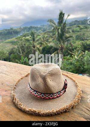 Traveler hat with a view of Bali rice fields, Bali, Indonesia Stock ...