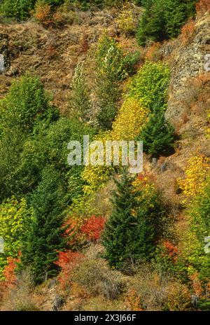 Mount St. Helens at Autumn Stock Photo - Alamy