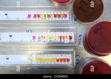 Analytical Profile Index Stock Photo - Alamy