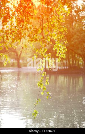 Beautiful shot of sunset over a lake Stock Photo - Alamy