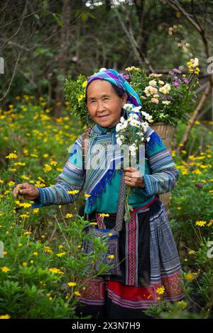 Flower Hmong woman picking flowers in the grounds of the Hmong Kings ...