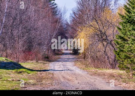 Kennebec Trail North and South, Madison, Maine Stock Photo - Alamy