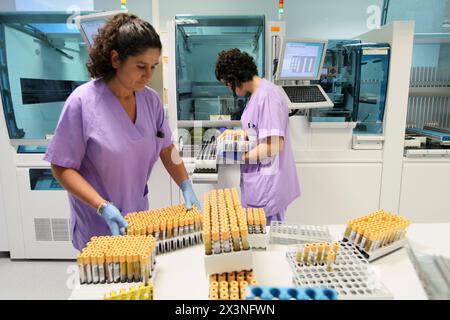 Automatic Specimen Distributor, Hemotherapy, Hematology Laboratory ...