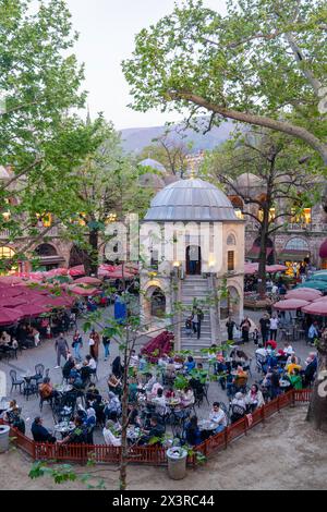 Bursa, Turkey - April 13, 2024: Inkaya historical plane tree and ...
