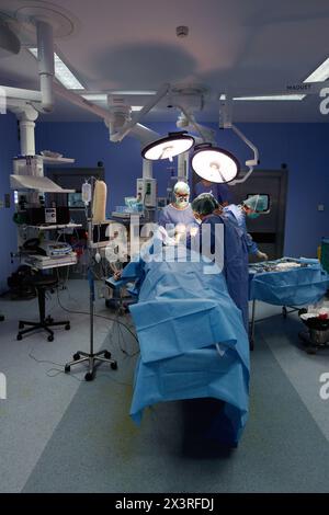 Surgeons, Vascular Operating Room, Surgery, Hospital Donostia, San ...