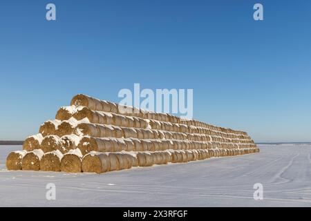 snow-covered straw stacks , winter landscape with straw in stacks after ...