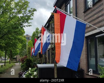Row of colorful Dutch flags with orange collored pennant in a village ...