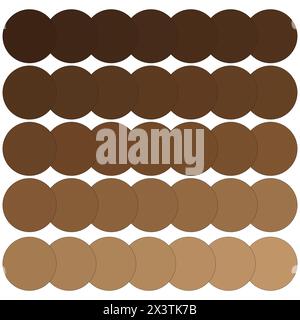 Brown Color Shades Swatches Palette with Names Stock Vector Image & Art ...