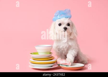 Cute dog with clean plates and sponge on pink background Stock Photo ...