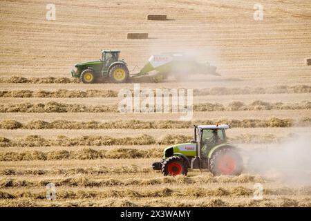 Agricultural machinery. Windrower and Pick-up baler . Harvesting of ...