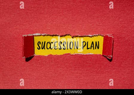 Conceptual succession plan symbol Stock Photo - Alamy