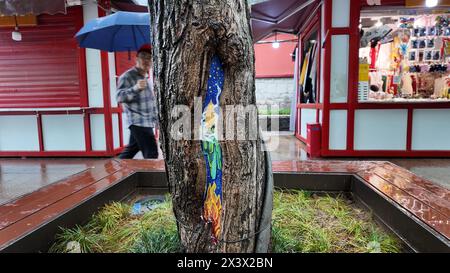XI'AN, CHINA - APRIL 29, 2024 - A scarred tree draws a cartoon drawing ...
