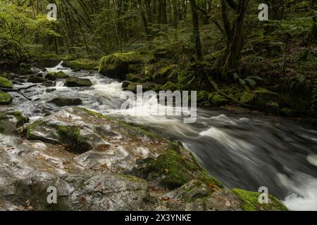 Goliath Falls, Bodmin, Cornwall, UK Stock Photo - Alamy