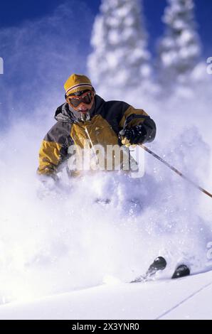Male skiing powder Alta, Utah Stock Photo - Alamy