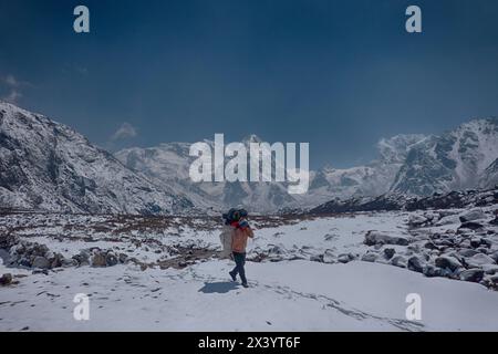Porter carrying a load from Kangchenjunga (Kanchenjunga) Base Camp ...