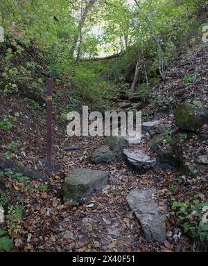 A hiking trail strewn with yellow leaves stretches through the autumn ...