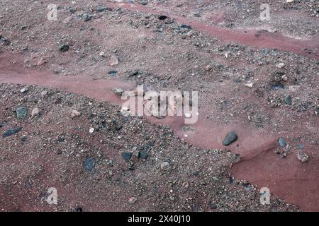 Red Sandstone (UK) Sedimentary rock Stock Photo - Alamy