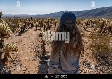 Joshua tree forest with mountain range in the background, Providence ...