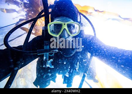 Underwater Image with the photographer looking up at the stand up ...