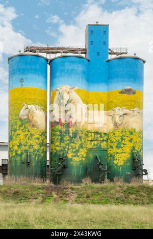 Merriwa Silo Art, Merriwa, New South Wales, Australia Stock Photo - Alamy