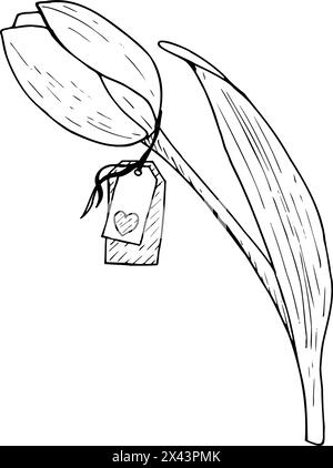 drawing flower in paper Stock Vector Image & Art - Alamy