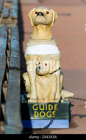 Guide Dogs for the Blind collection box Stock Photo - Alamy