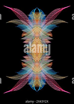 Multi-colored skeleton leaves arranged on black background Stock Photo ...