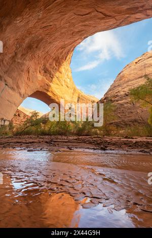 Jacob Hamblin Arch seen from beneath adjacent giant sandstone in Coyote ...