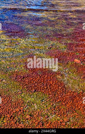 USA, Utah. Crystal Geyser, a cold water geyser, travertine geological ...