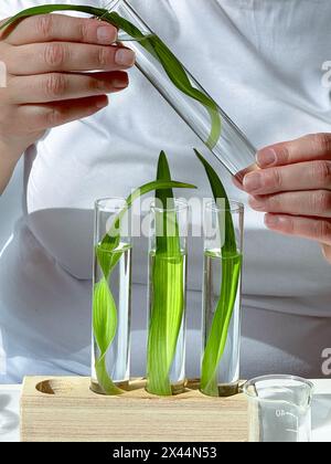 Scientist Examining Plant Extracts in Laboratory, Analysis of Green ...