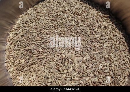 Top view of Fennel seeds also known as Saunf used in food or eaten raw ...