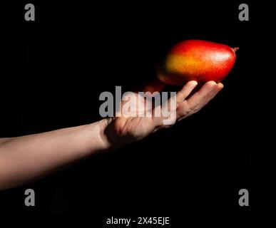 Hand holding whole mango isolated on white background Stock Photo - Alamy