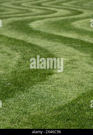 Neatly mown lawn with unusual wavy stripe. Photographed in springtime ...