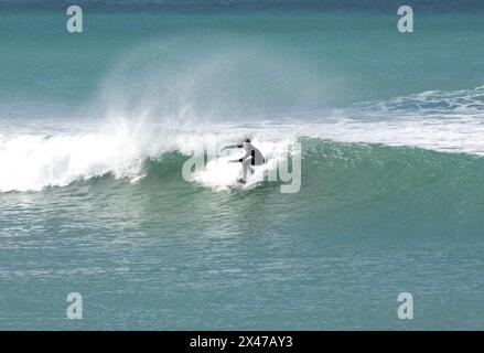 Male surfer at Kaka Point Beach, Molyneux Bay, Port Molyneux,Otago, New ...