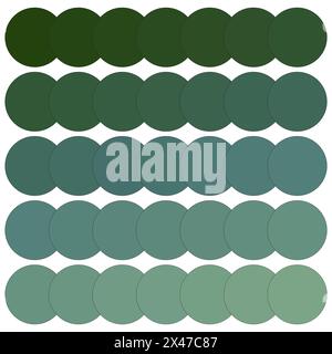 Green Color Shades Swatches Palette with Names Stock Vector Image & Art ...