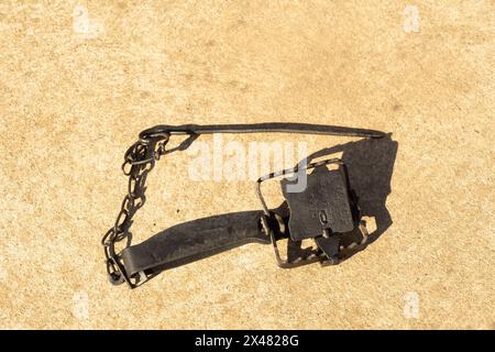 Metal Rabbit traps were once very common and used to control rabbit ...