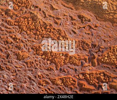 Small scale tufa dams caused by slow flowing calcium rich flushes at ...