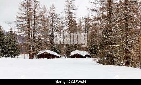 small wooden cottage immersed in the woods covered in snow Stock Photo ...