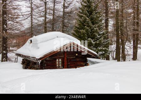 small wooden cottage immersed in the woods covered in snow Stock Photo ...