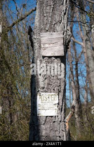 Tree trunk with "Posted" no trespassing sign attached and sunny wooded ...
