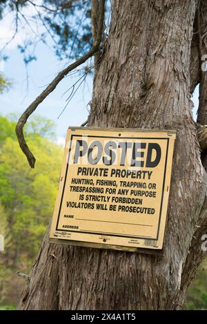 Tree trunk with "Posted" no trespassing sign attached and sunny wooded ...