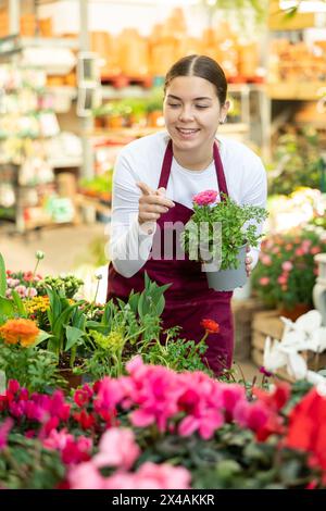 flower shop worker examines drooping ranunculus flower Stock Photo - Alamy