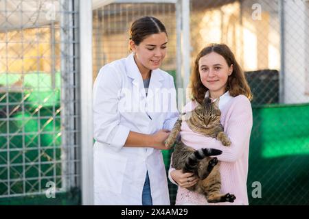 Tween girl with gray tomcat standing outdoor in animal shelter Stock ...
