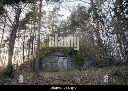 old earth cellar in the forest. A good hiding place. photo: Bo Arrhed ...