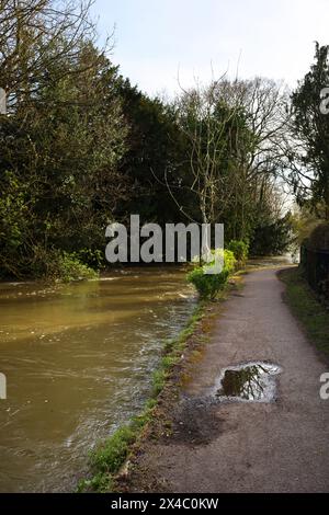 The Avon River flowing through Salisbury city, England Stock Photo - Alamy