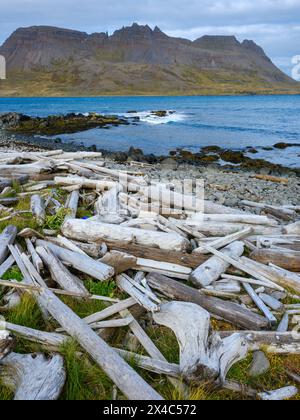 Strandir Coast, Westfjords, Iceland, Polar Regions Stock Photo - Alamy