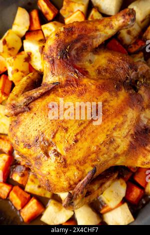 Homemade Hearty Roasted Chicken on Tray, side view Stock Photo - Alamy